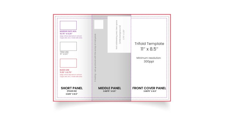 Brochure Design in 2021 - The Ultimate Guide
