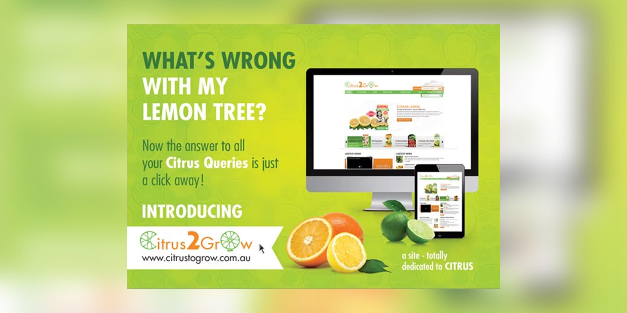 21 Flyer Design Ideas that will make your brand fly high