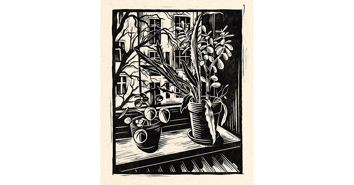 16 Simple Illustration Ideas to Boost Creativity