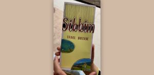 11 Creative Handmade Brochure Ideas for Inspiration